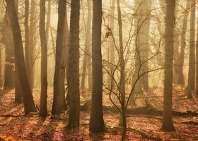 Pick Your Five Favorite Fall Scenes And We'll Reveal What People Like ...