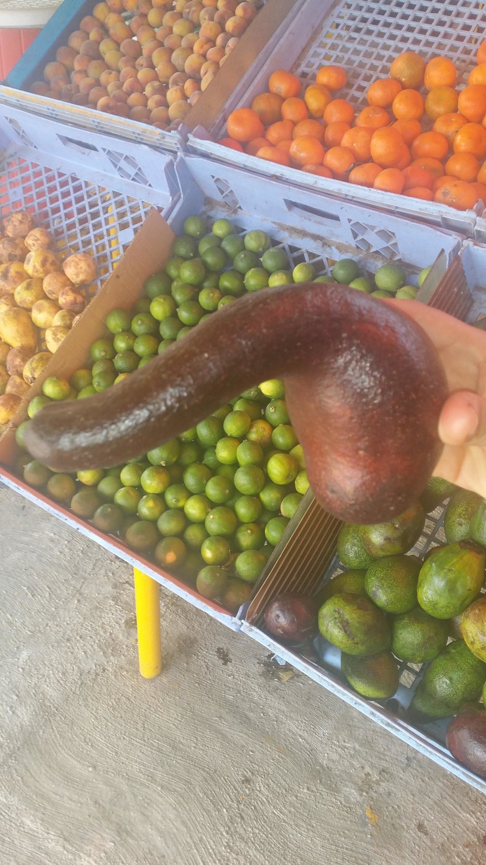 Just 14 Gross Avocados, And 14 Perfect Ones To Make Things Right Again