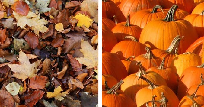 Pick Your Five Favorite Fall Scenes And We'll Reveal What People Like ...