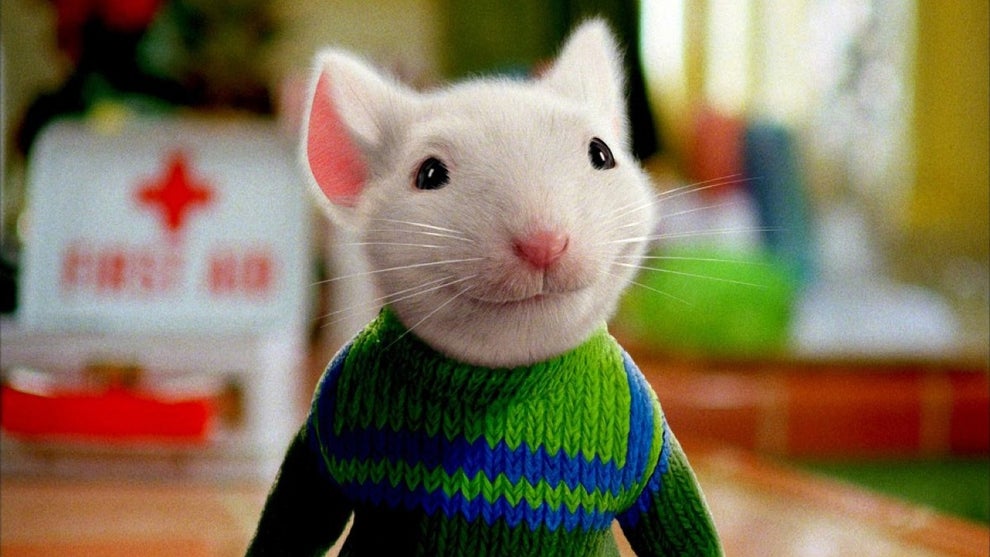 "Ratatouille" Vs. "Stuart Little": Who Would Win?