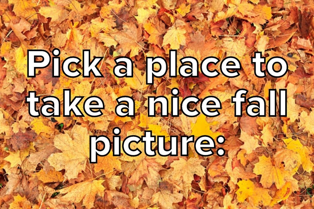 Spend A Day At A Fall Farm And We'll Tell You Which Addams Family ...