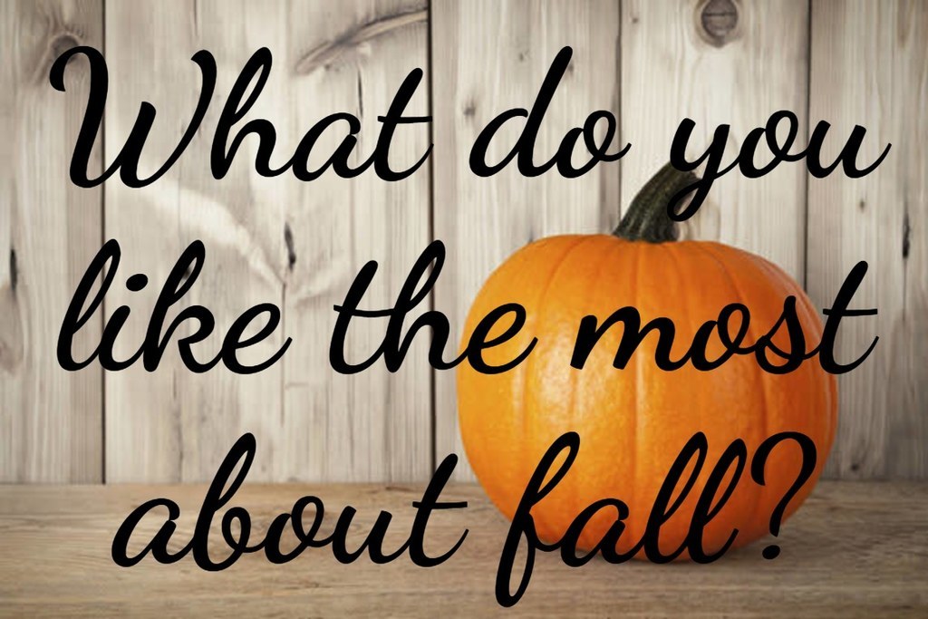 Tell Us Your Fall Preferences And We Will Give You A Fall Inspired ...