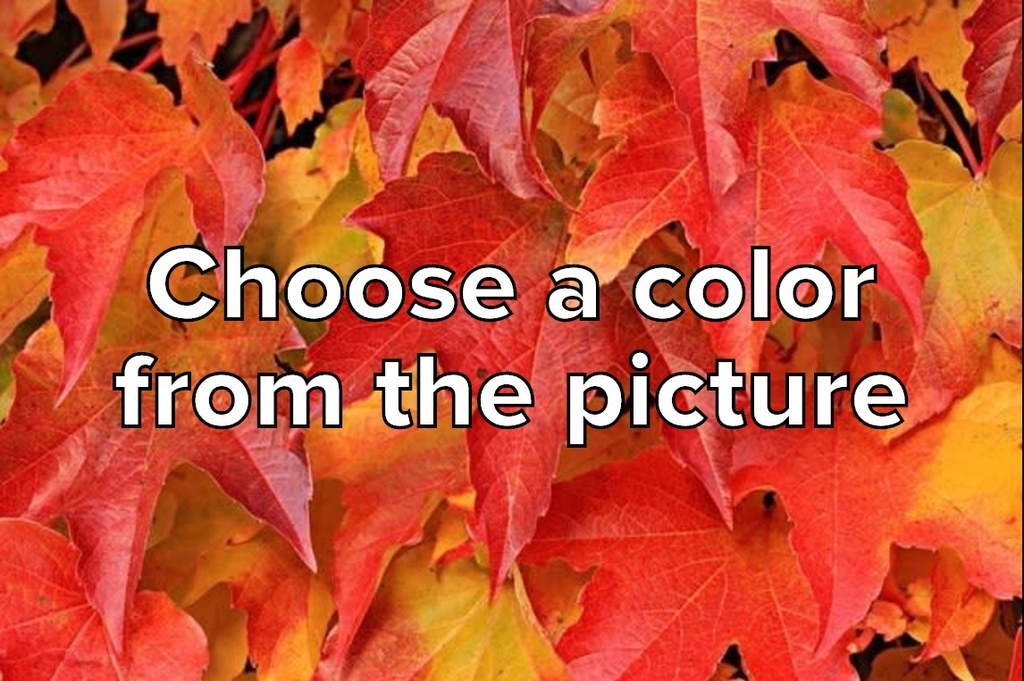 Pick Six Fall Colors And We'll Guess Which Month You Were Born In