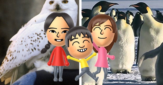 Turn Yourself Into A Mii And We'll Tell You Which Animal You Resemble ...