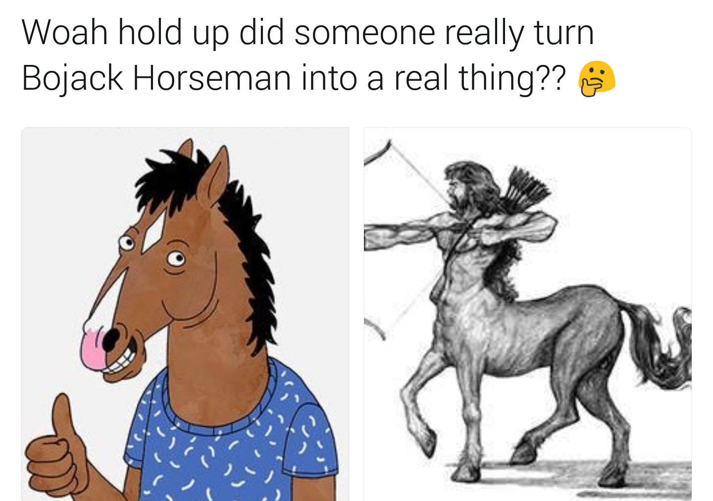 17 Jokes Anyone Who's Watched Bojack Horseman Will Appreciate