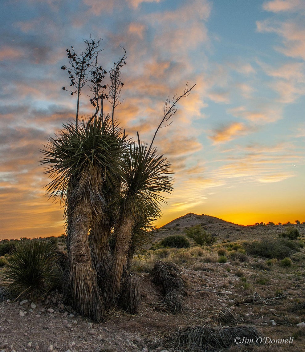 15 Wild Places In America That Will Make You Say, "I Want To Go To There"