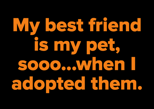 Tell Us About Your Best Friend And We'll Reveal The Dynamic Duo You ...