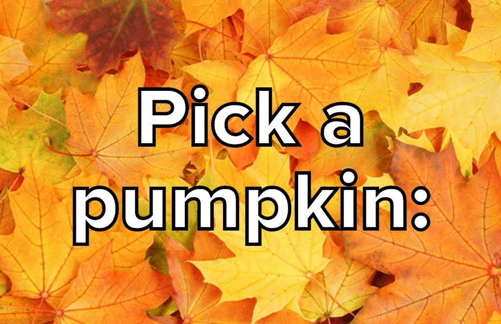 Choose Five Fall Items And We'll Reveal Your Soulmate's Zodiac Sign