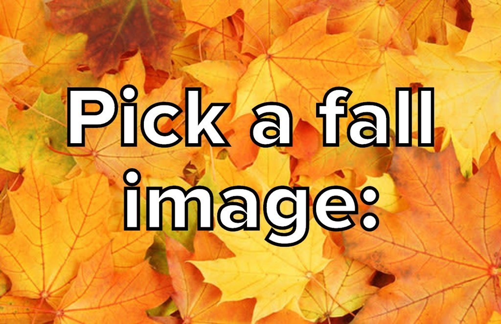 Choose Five Fall Items And We'll Reveal Your Soulmate's Zodiac Sign