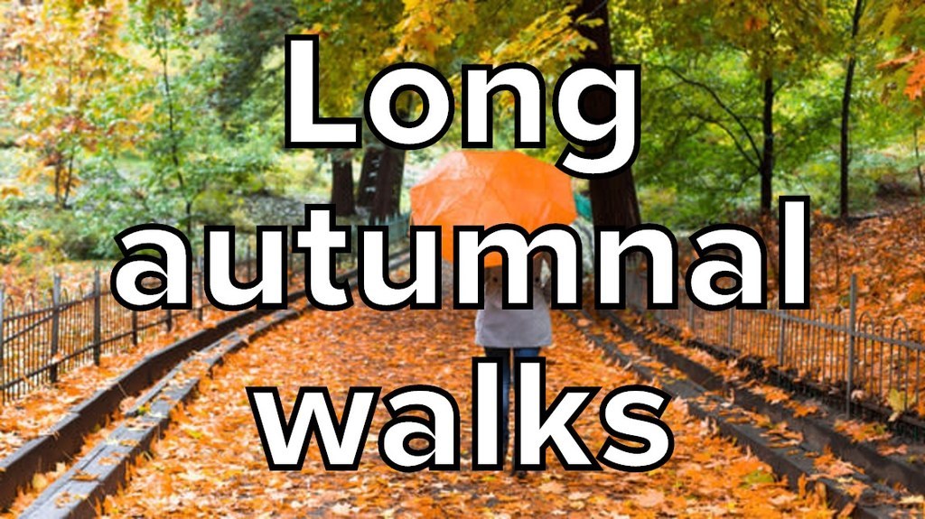 Are Your Autumn Opinions Weird Or Normal?