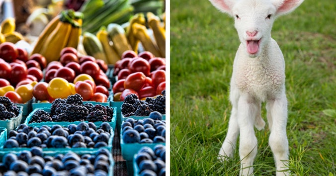Go Shopping At Your Local Farmers Market And We’ll Tell You Which Farm ...