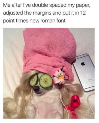 31 Memes That'll Make All Year 12 Students Laugh Then Cry