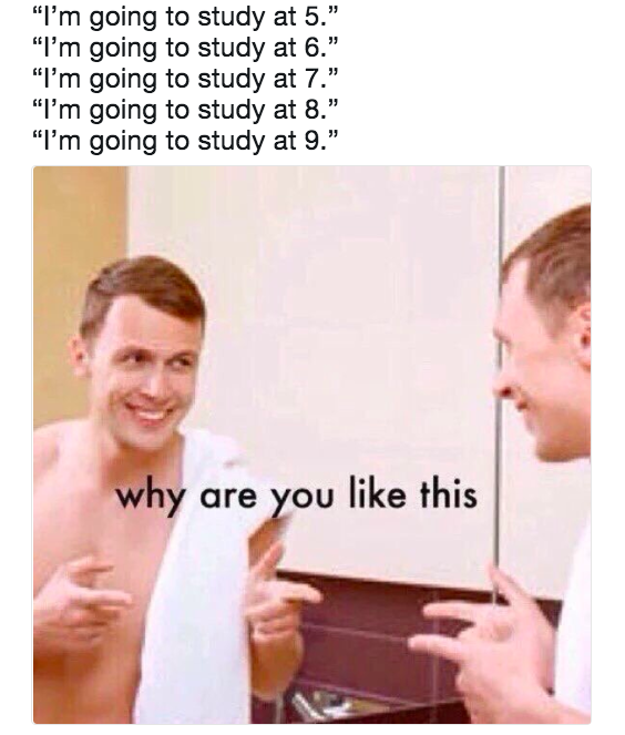 31 Memes That'll Make All Year 12 Students Laugh Then Cry