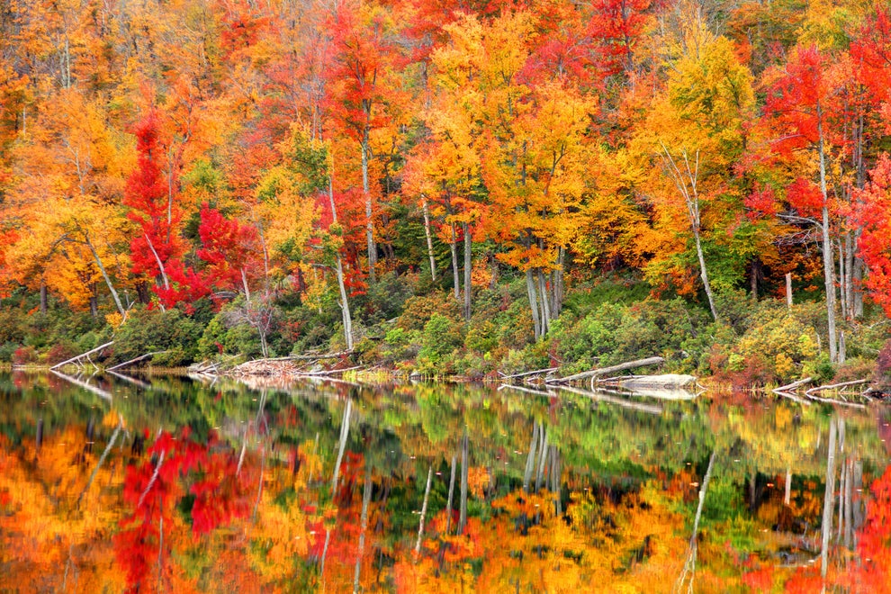 13 Scenic Destinations For People Who Unapologetically Love Fall