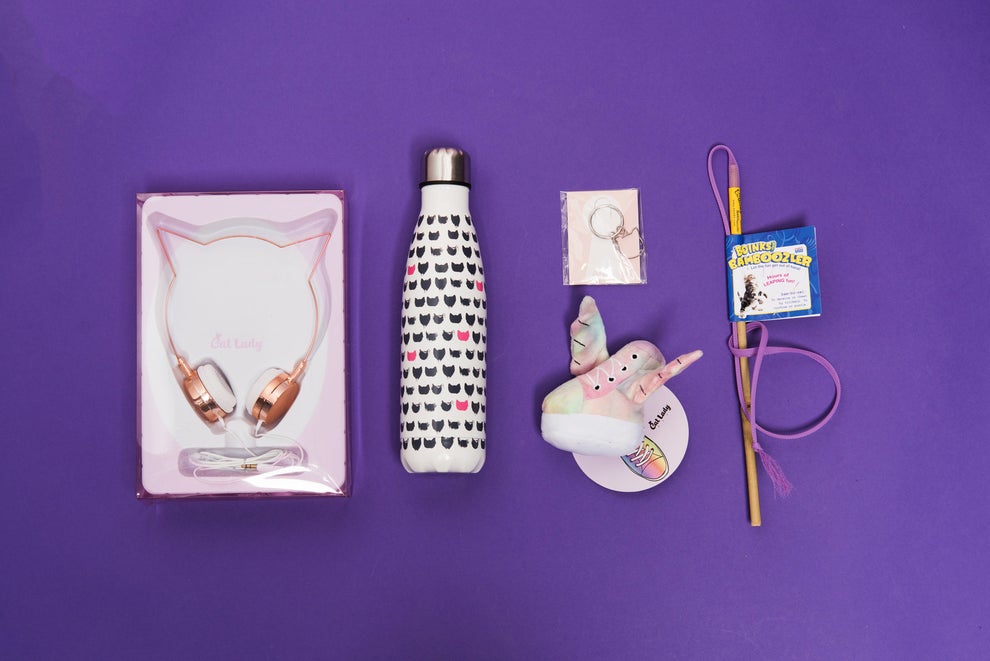 We Tried Subscription Boxes For Cats And They Were Super Freaking Adorable