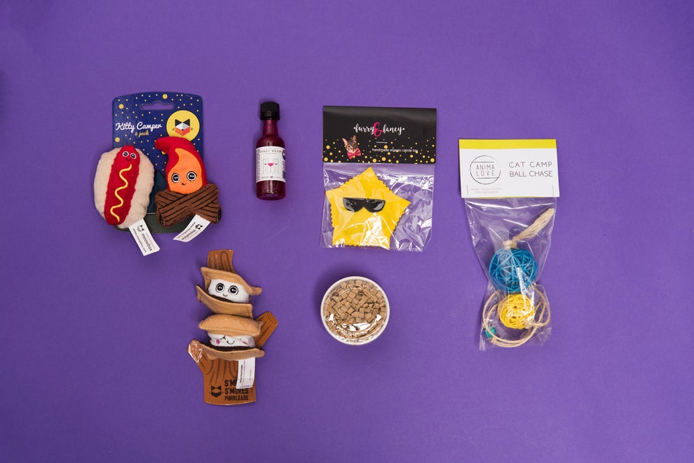 We Tried Subscription Boxes For Cats And They Were Super Freaking Adorable