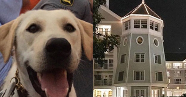 If You Don't Think There's Magic, How Do You Explain Disney World ...