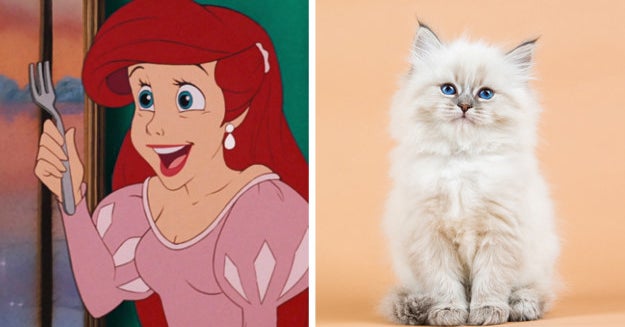 Pick Your Favorite Cat Breeds And We'll Reveal Which Disney Princess ...
