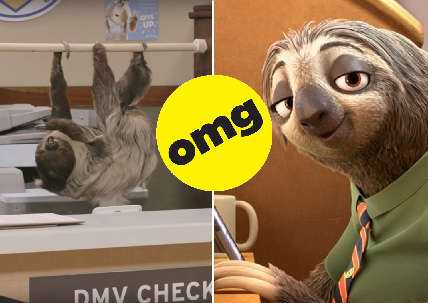 Sloth Dmv Memes