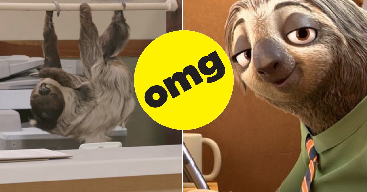 It's International Sloth Day, So Disney Brought "Zootopia" To Life For ...