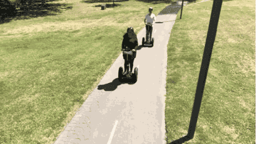 14 Things That Prove Canberra Is Cooler Than You Think