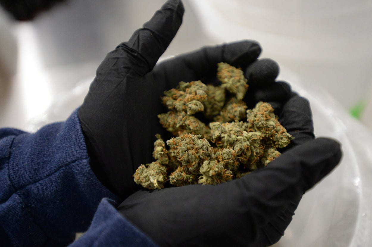 Canada Is Set To Become The World's Weed Dealer