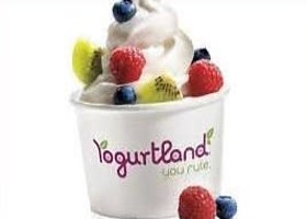 Order Some Froyo And We'll Tell You Which Character From "The Good ...