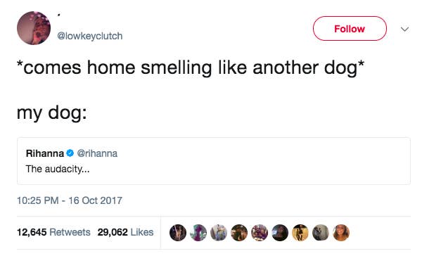 15 Dogs That Will Make Your Boyfriend Want To Step Up His Game