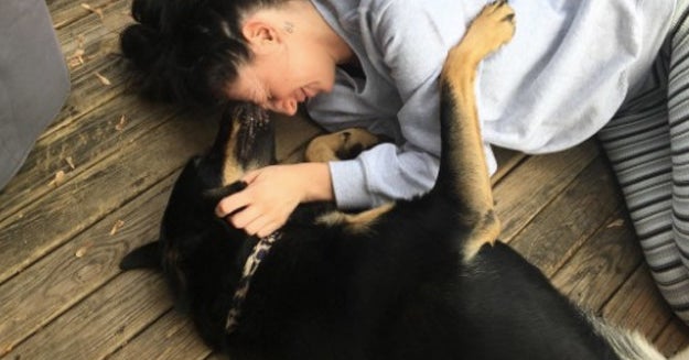 15 Dogs That Will Make Your Boyfriend Want To Step Up His Game