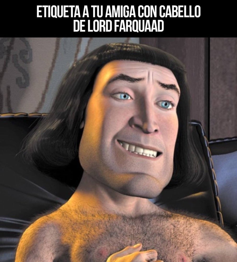 17 Imágenes que demuestran que todos hemos sido Shrek alguna vez en la vida