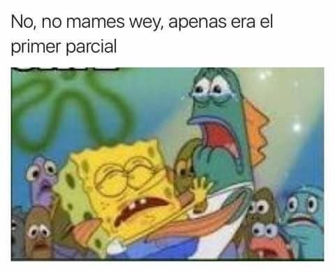 21 Memes para reírte si apenas sobreviviste a tus primeros parciales