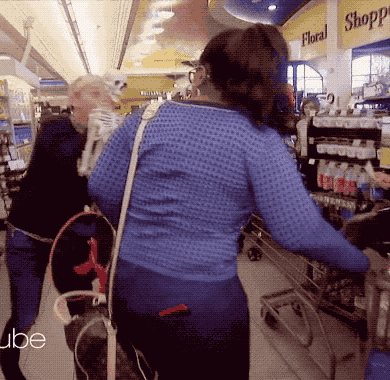 If You Don't Have As Much Fun At The Grocery Store As Ellen And Oprah ...