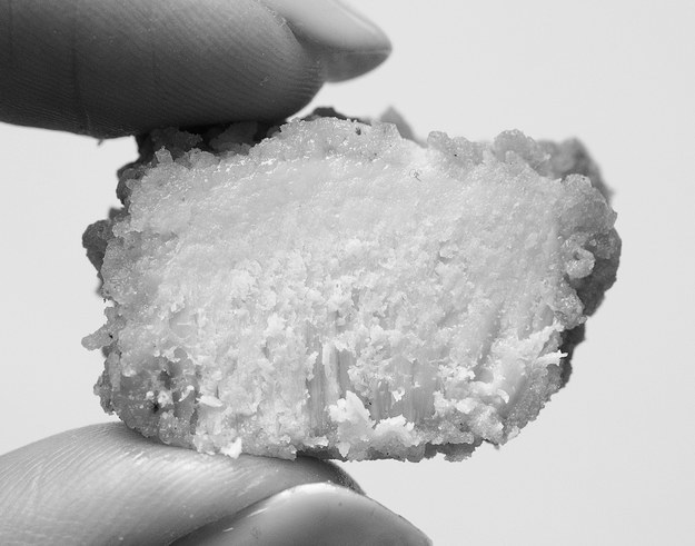 Can You Identify These Black And White Chicken Nuggets Just By Looking ...