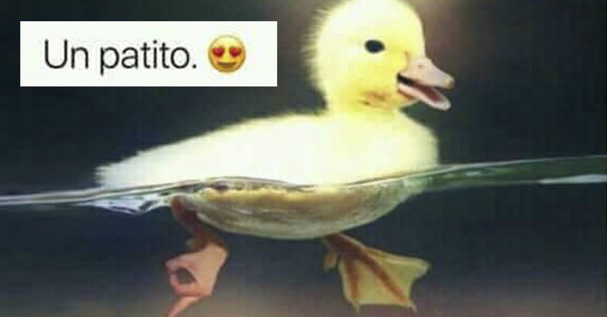 18 Imágenes que te harán enojar un chingo