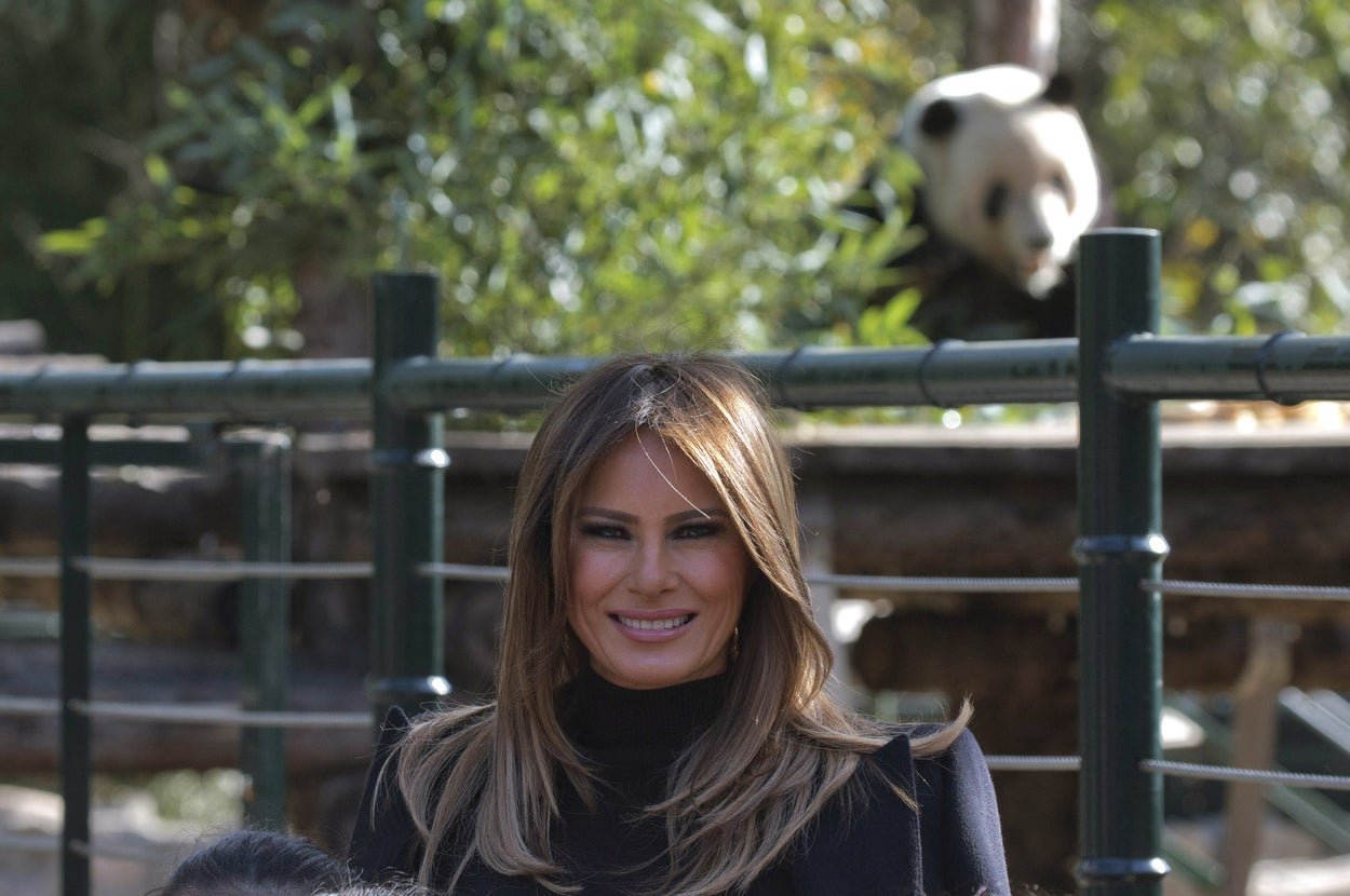 Melania Trump Went To The Beijing Zoo And A Panda Fell In Love With Her