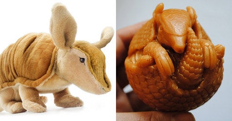 25 Things For People Who Just Can't Get Enough Armadillo