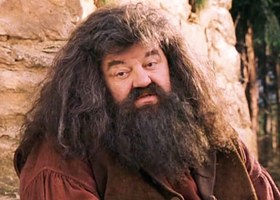 15 Questions All "Harry Potter" And "Star Wars" Fans Need To Answer