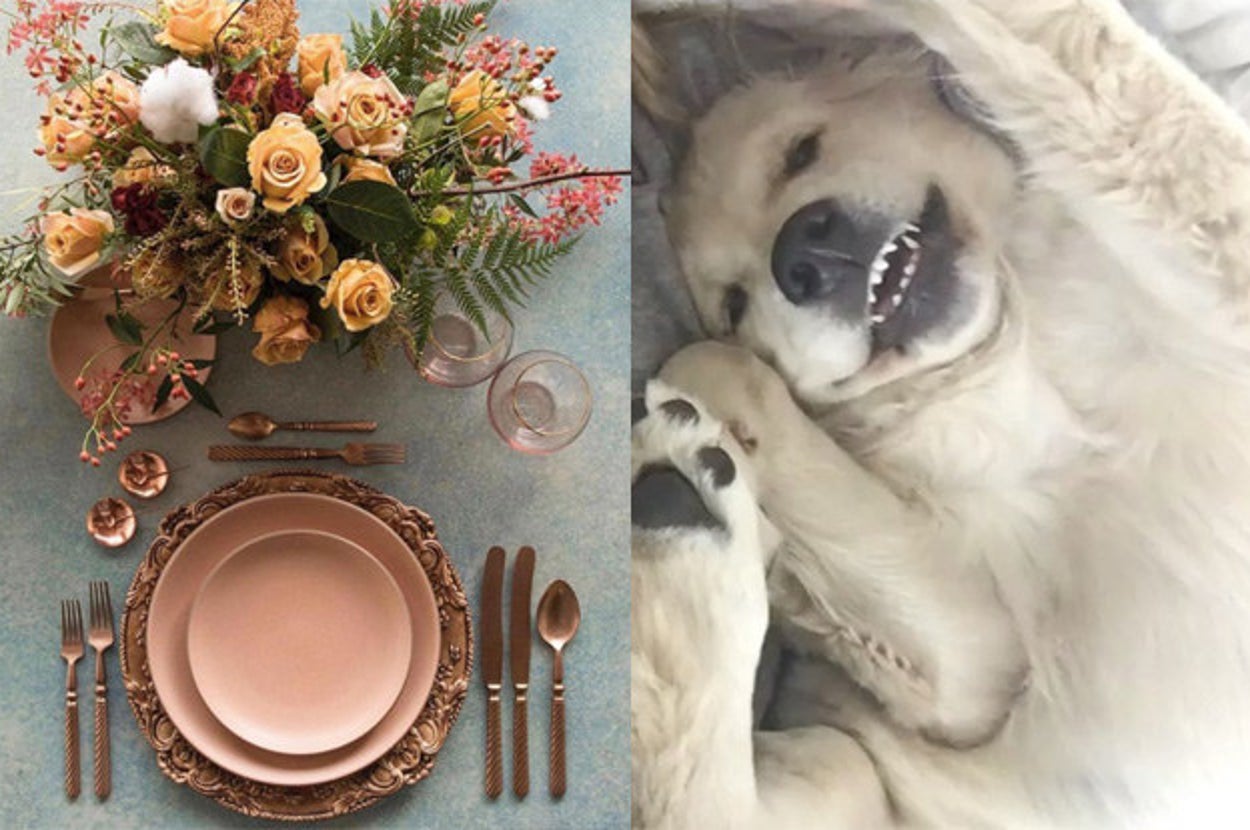 Set This Thanksgiving Table And We’ll Give You A Cute Dog To Feed Under It