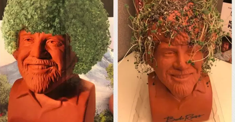 19 Pictures That Will Make You Say Same 19-pictures-that-will-make-you-say-same