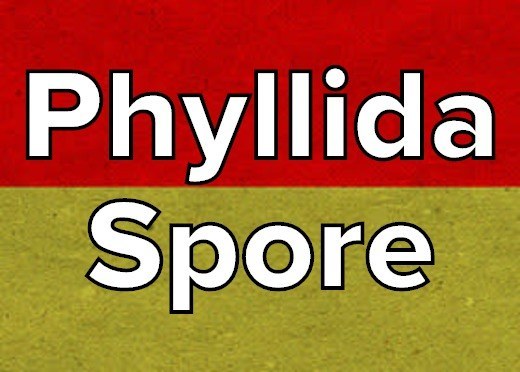 Only A True Gryffindor Will Score At Least A 10 On This Hogwarts ...