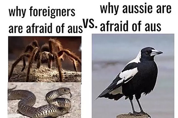 Literally Just 27 Hilarious Memes About Australian Food