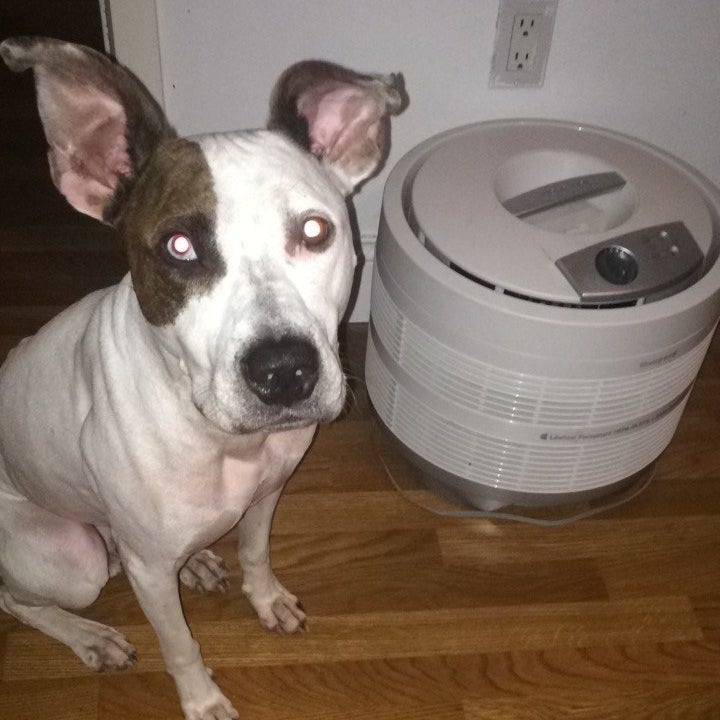 An Ode To Practical Gifts For The Holidays