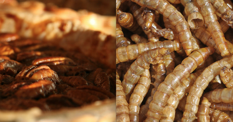 We’re Headed Toward A Thanksgiving Brimming With Insects. Here Are The ...