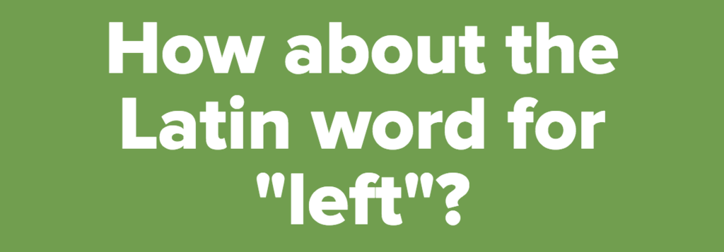 Only A Very Smart Person Can Spell These Latin Words Correctly only-a-very-smart-person-can-spell-these-latin-words-correctly