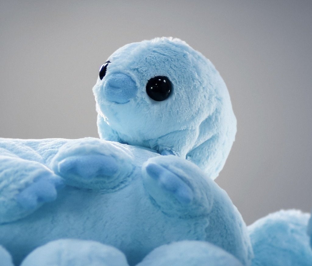 35 Adorable Gifts You'll Want To Cuddle With Right Now