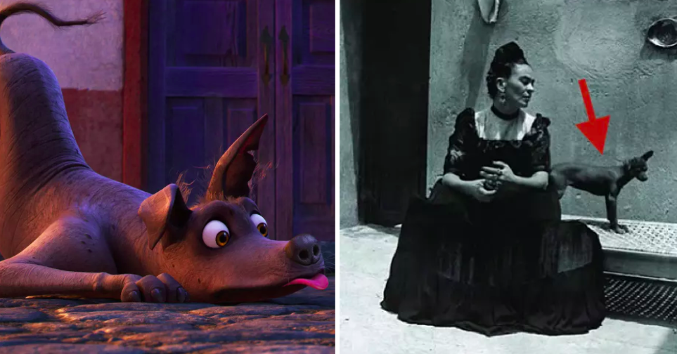 16 Cosas que necesitas saber sobre los perritos Xolos si amaste 'Coco'