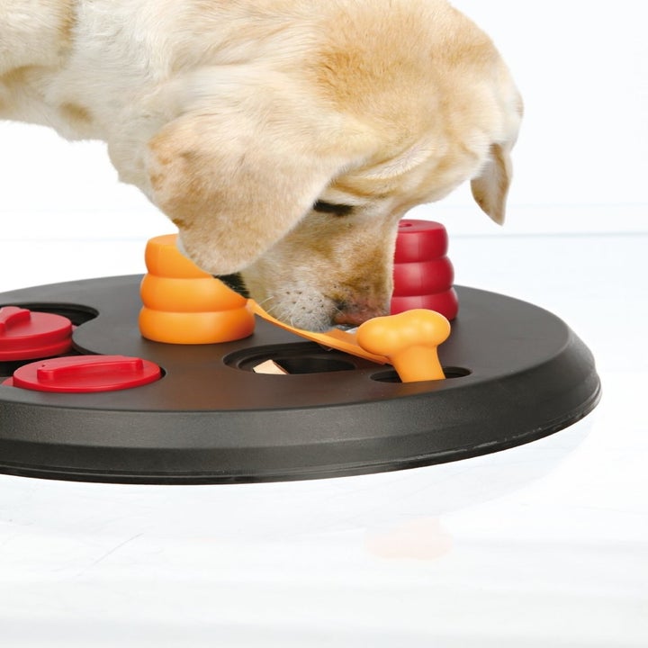 Just 29 Really Adorable Gifts For Your Dog