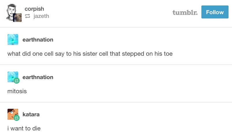 Tumblr Text Post Puns