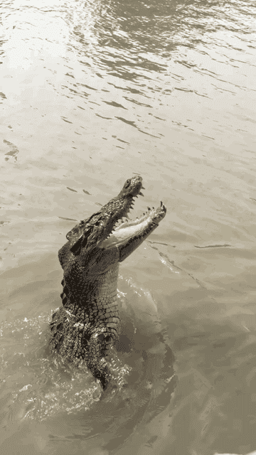 13 Reasons Why You Need To Visit Darwin Right This Instant