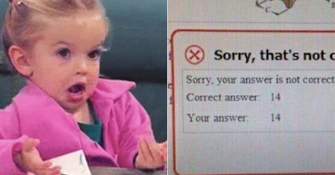 17 Tweets That'll Make Students Who Use Moodle Laugh and Then Cry